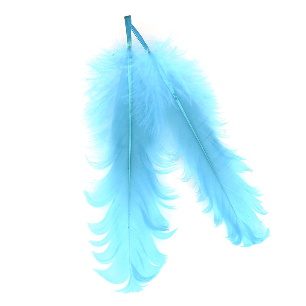 coloured feather