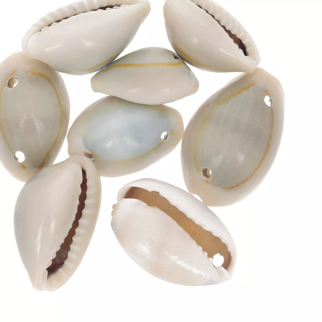 Set of natural Puka shells x 10 - Perles & Co